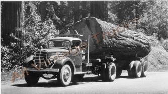 Mack E Model Logger